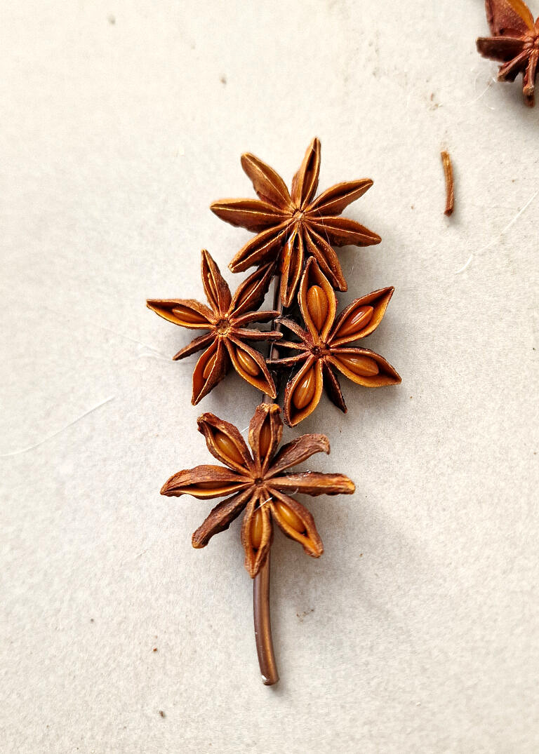DIY | Natuurlijke kerstornamenten met steranijs - Christmaholic.nl